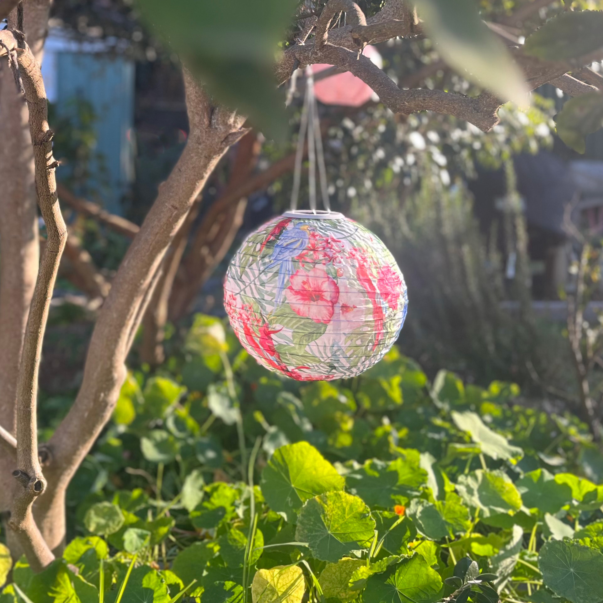 Patterned Solar Hanging Lanterns | Solar Lighting