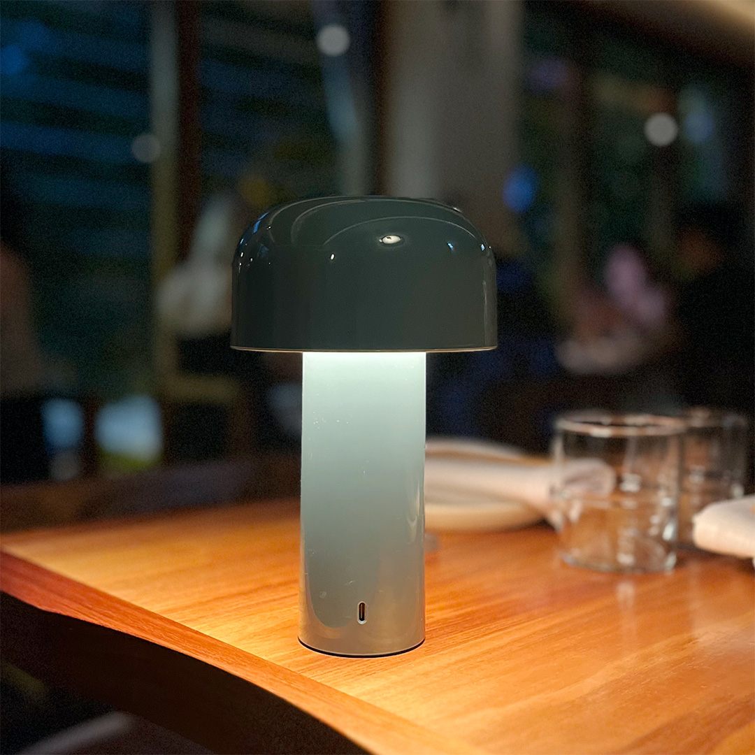 FunGuy Rechargeable Mushroom Light | Party In My Garden